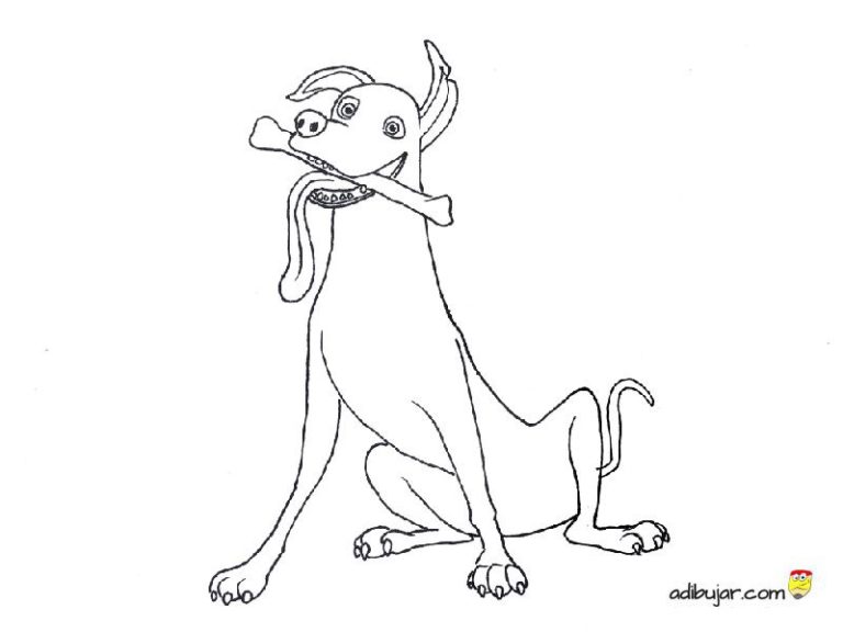 Coco la pelicula: Dibujos para colorear a Dante, el perro | adibujar.com